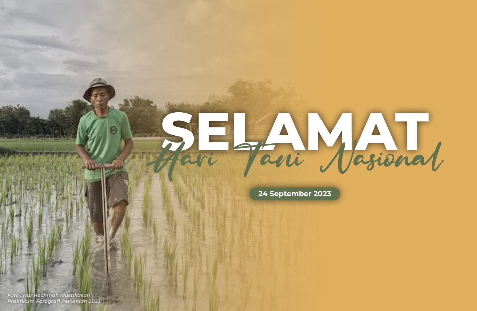 Menyambut Hari Tani Nasional untuk Pertanian Indonesia yang Lebih Baik ...